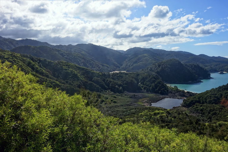 Wie du deine Mehrtageswanderung auf dem Abel Tasman Coast Track in ...